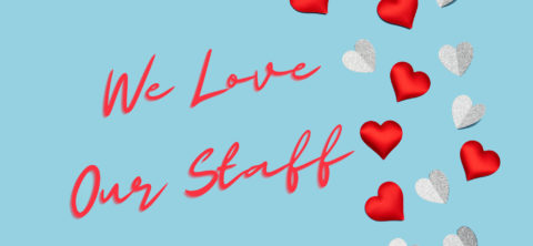 At iQuote Boston, We LOVE Our Staff! | iQuote Boston